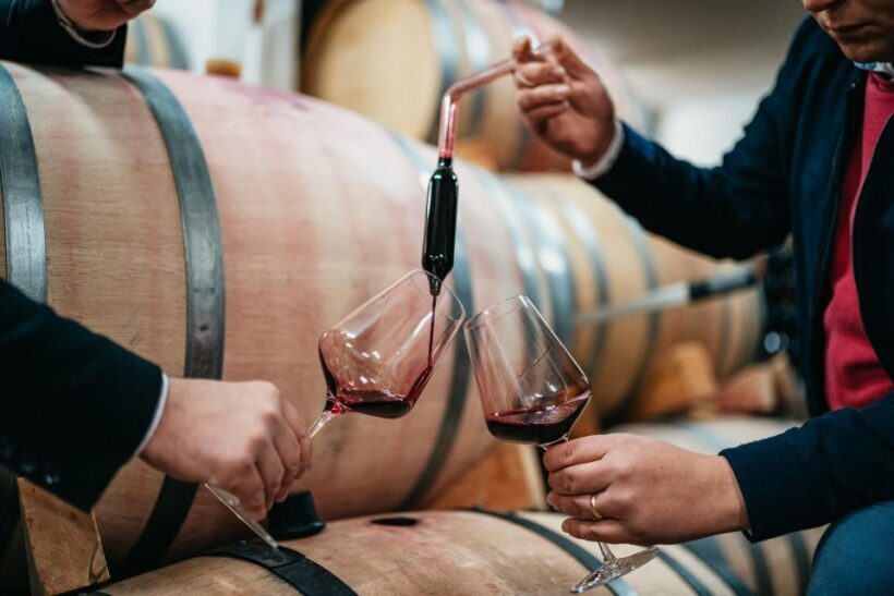 From Makarska : Wine Tasting Grabovac Tour - The Itinerary: Details That Matter