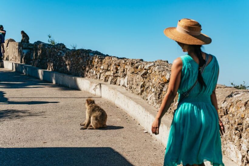 From Malaga and Costa del Sol: Gibraltar Tour - From Malaga and Costa del Sol: Gibraltar Tour – A Great Day Out