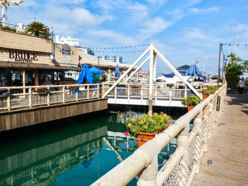 From Malaga: Day trip to Gibraltar and Dolphin Boat Tour - Who Should Consider This Tour?