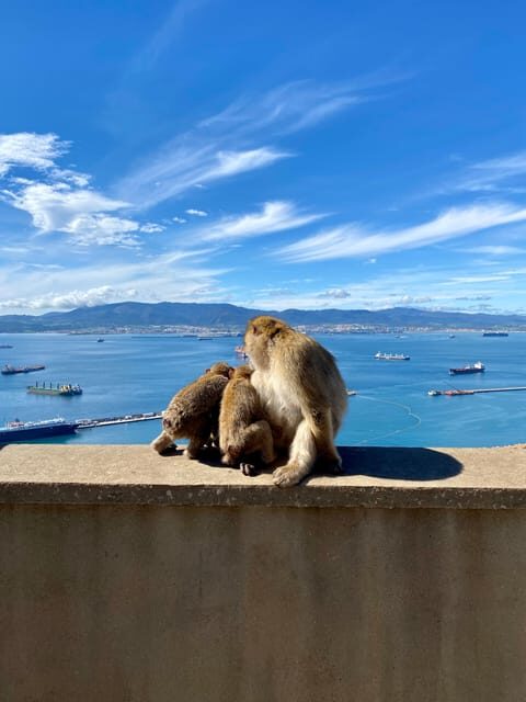 From Malaga: Day Trip to Gibraltar - Key Points