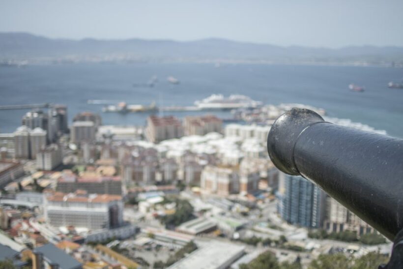 From Malaga: Day Trip to Gibraltar - An Overview of the Experience