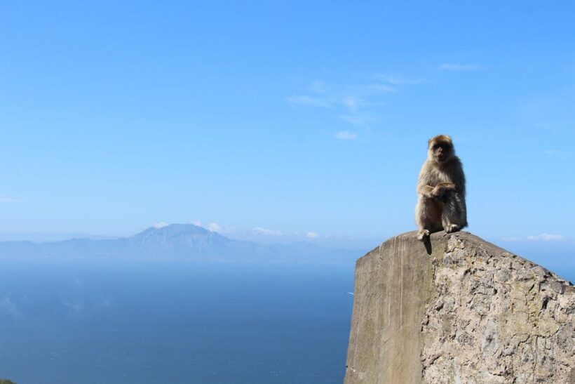 From Malaga: Gibraltar and Tangier Private Day Trip - Key Points