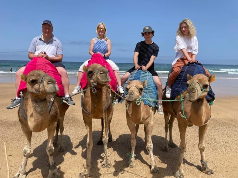 From Malaga: Gibraltar and Tangier Private Day Trip - The Sum Up