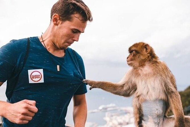 From Malaga, Gibraltar excursion with transport - Final Thoughts