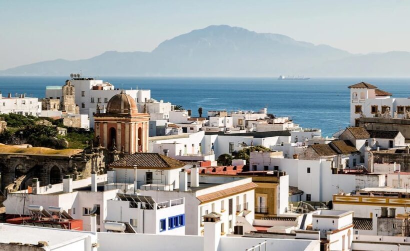 From Malaga: Guided tour in Tarifa with whale-watching and dolphin watching - Why Consider This Tour?