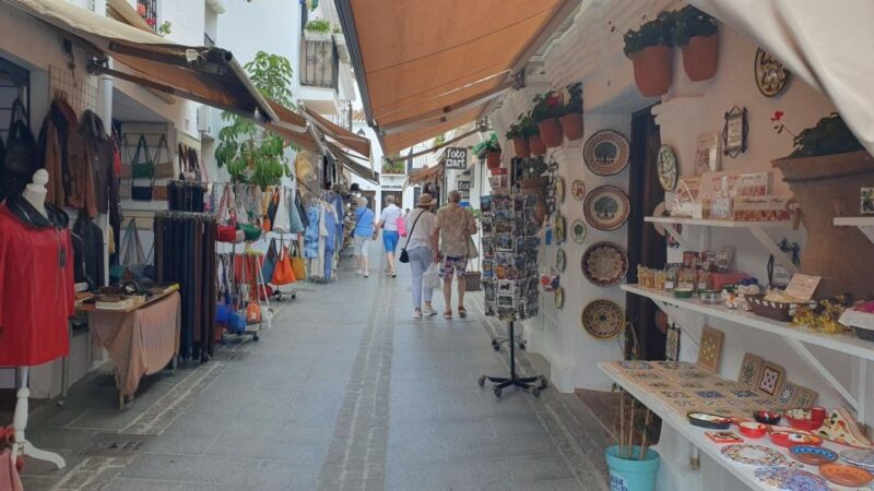 From Malaga: Private guided day trip to Nerja and Frigiliana - Final Thoughts