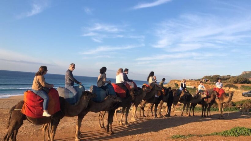 From Malaga: Private Tangier Day Tour - Key Points