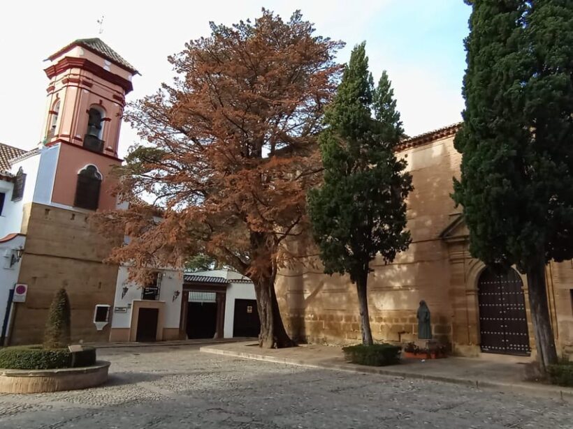 From Málaga: private tour to Ronda and Setenil - Authentic Feedback and Considerations