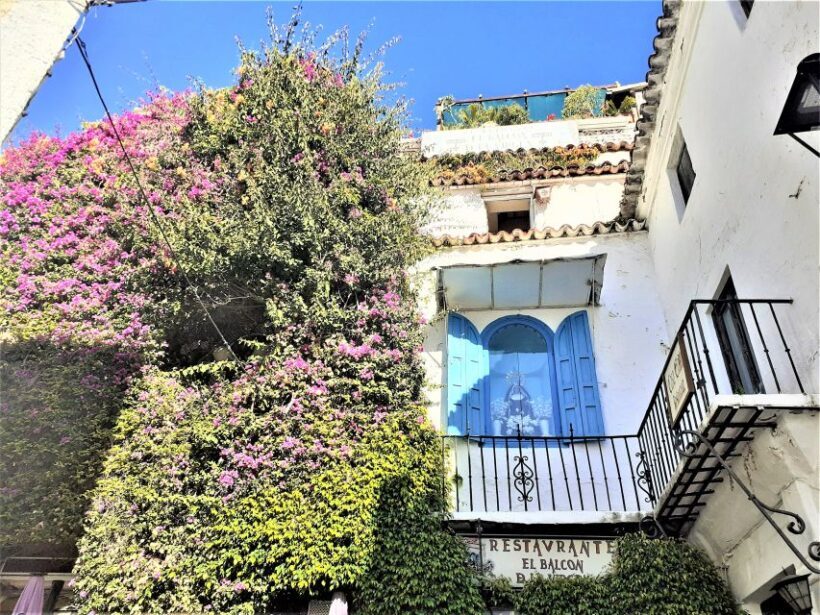 From Málaga: private trip in Gibraltar and Marbella - Frequently Asked Questions
