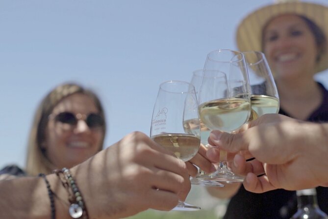 From Malaga: Ronda, Wine & Olive Oil Tasting Premium Small Group - Meeting and Pickup Information