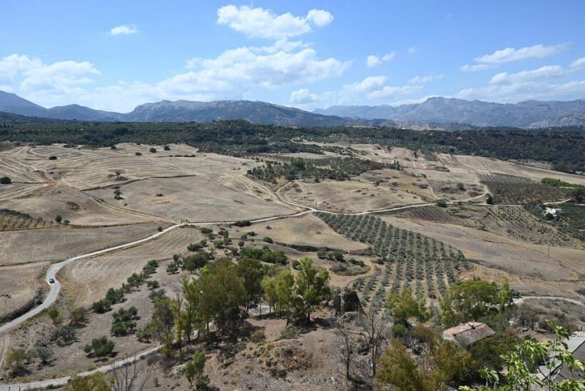From Malaga: Ronda y Setenil de la Bodegas Day Trip by coach - FAQ