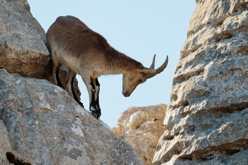 From Malaga: Torcal de Antequera Hiking Tour - Practical Aspects of the Tour