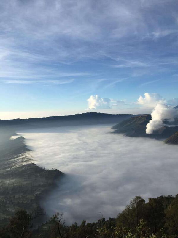 From Malang: 1 Day Bromo Sunrise Sharing Tour - The Value Versus Cost