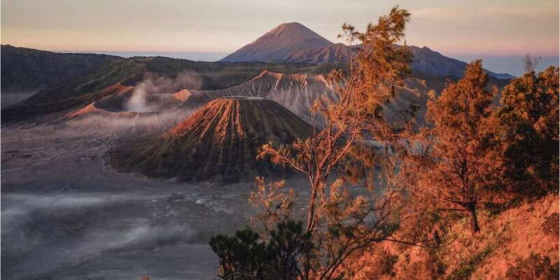 From Malang: Mount Bromo Sunrise Day Trip with Breakfast - The Logistics and Practicalities