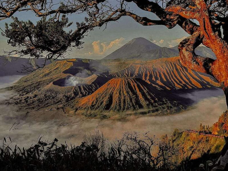 From Malang: Shared Mount Bromo & Ijen Tours Start - 2D1N - Practical Details: What You Should Know Before Booking