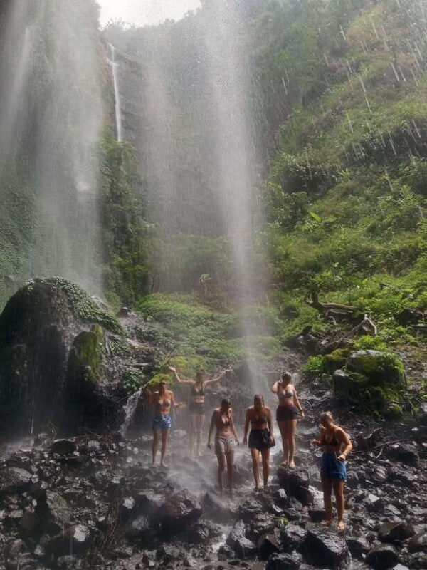From Malang / Surabaya: Madakaripura Waterfall Guided Tour - An Authentic Day of Nature in Java