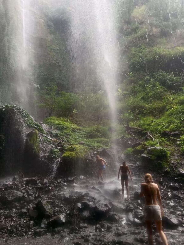 From Malang / Surabaya: Madakaripura Waterfall Guided Tour - Practical Tips for Your Day Out