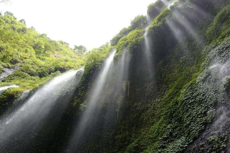 From Malang / Surabaya: Madakaripura Waterfall Guided Tour - Who Is This Tour Perfect For?