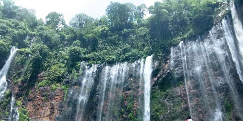 From Malang: Tumpak Sewu & Bromo Tour - Guides and Experience