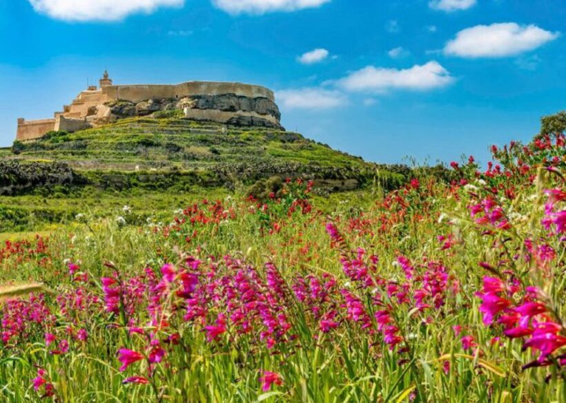 From Malta: Gozo Full-Day Tour with Guide, Temples, & Train - Introduction: Exploring Malta’s Sister Island