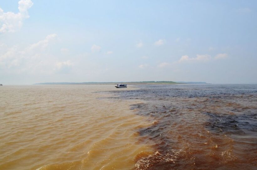 From Manaus: 3 or 4-Day Rio Negro & Anavilhanas River Cruise - What’s Included & What’s Not