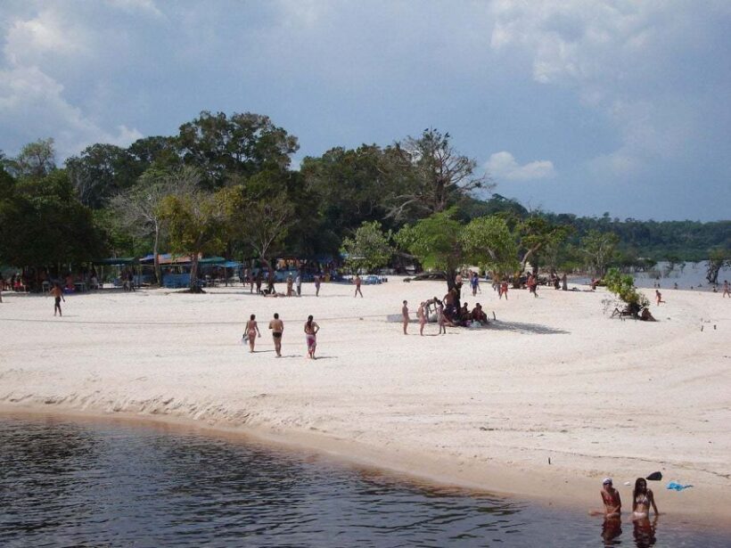 From Manaus: Negro River Half-Day Trip - Frequently Asked Questions