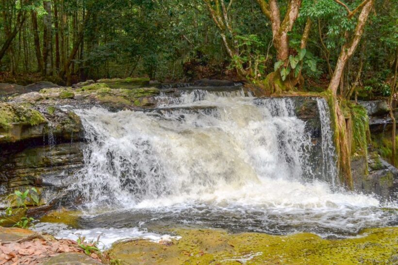 From Manaus: Presidente Figueiredo Waterfalls Daytrip - Final Thoughts: Is This Tour Worth It?