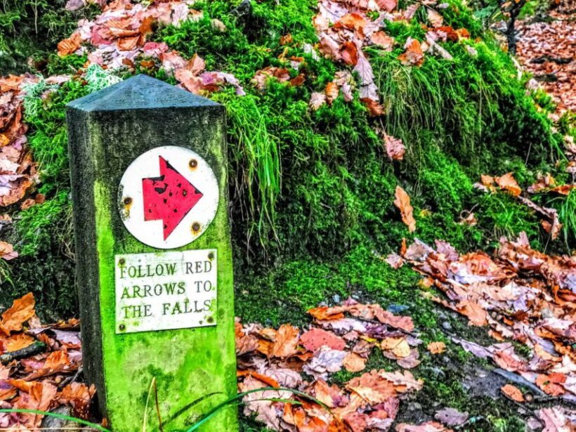 From Manchester: Lake District Sightseeing Day Trip - The Sum Up: Who Is This Tour Best For?