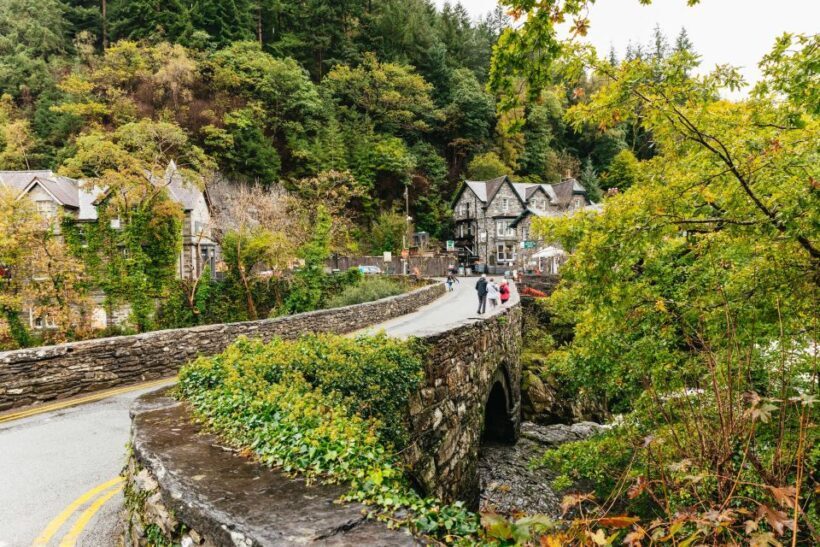 From Manchester: North Wales, Snowdonia, and Chester Tour - Who Will Love This Tour?