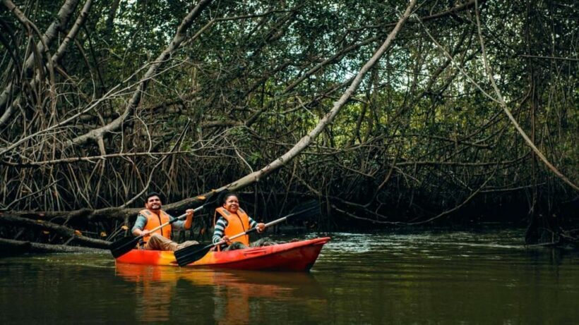 From Mancora: National Sanctuary of the Mangroves - Tumbes - Visiting Whale Bone Island and Isla del Amor