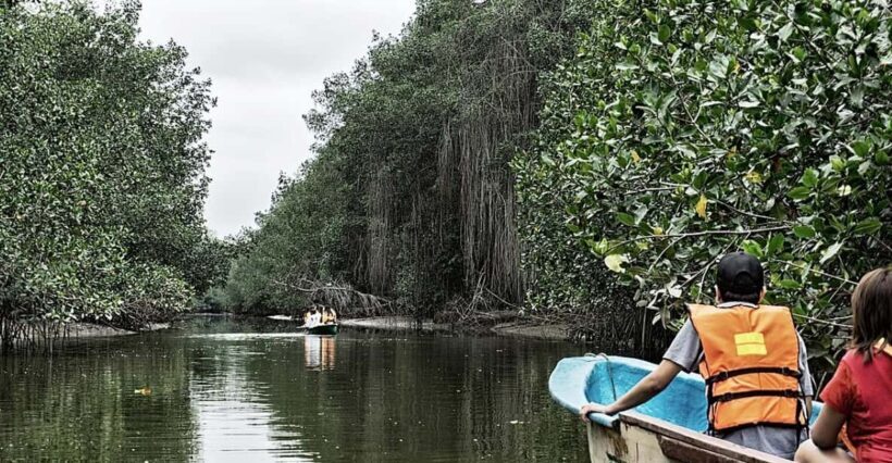 From Mancora: National Sanctuary of the Mangroves - Tumbes - Bird Island and the Crocodile Farm