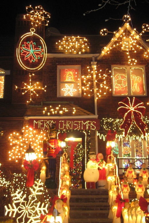 From Manhattan: 4-Hour Brooklyn Christmas Magic Tour - Practical Tips for Participants