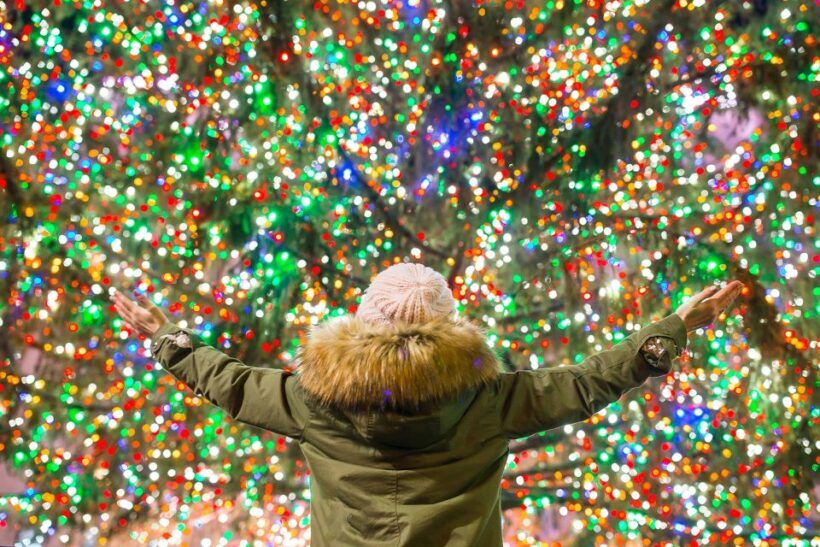 From Manhattan: 4-Hour Christmas Lights Luxury Bus Tour - The Bottom Line: Who Will Enjoy This Tour?