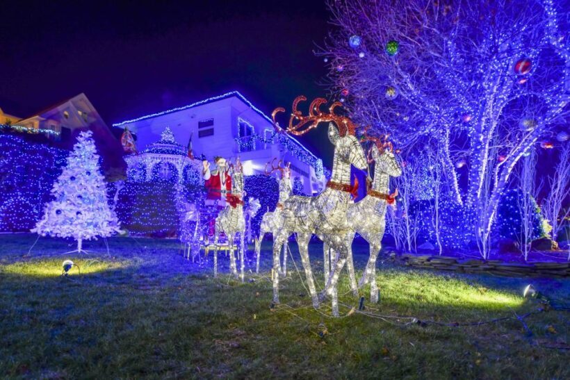 From Manhattan: 4-Hour Christmas Lights Luxury Bus Tour - FAQ: Practical Questions About This Tour