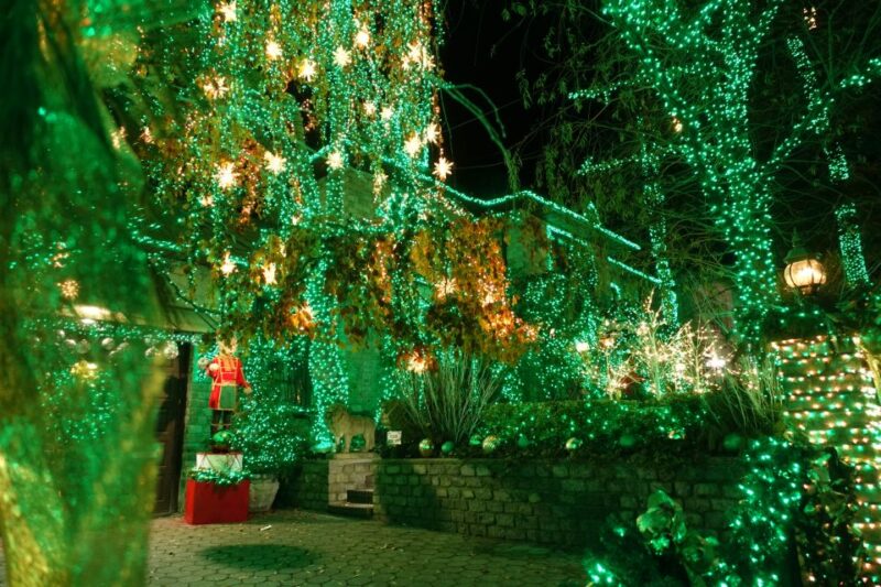 From Manhattan: 4-Hour Christmas Lights Luxury Bus Tour - The Role of the Guide: The Heart of the Tour