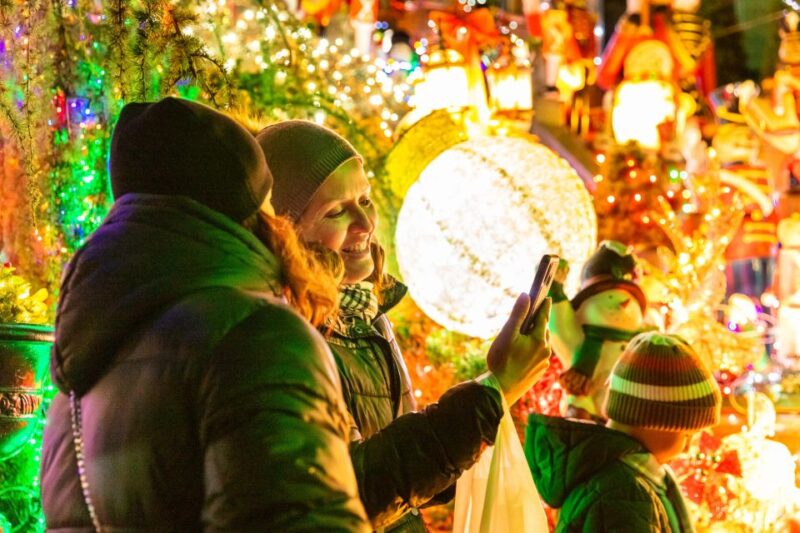 From Manhattan: 4-Hour Dyker Heights Holiday Lights Bus Tour - Who Should Consider This Tour?