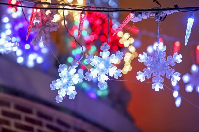 From Manhattan: Dyker Heights Holiday Bus Tour - The Sum Up