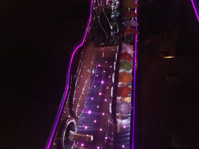 From Manhattan: Private Brooklyn Christmas Tour by Limousine - FAQ