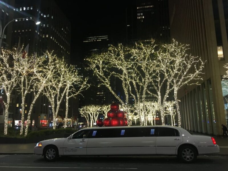 From Manhattan: Private Brooklyn Christmas Tour by Limousine - Who Will Appreciate This Tour Most?