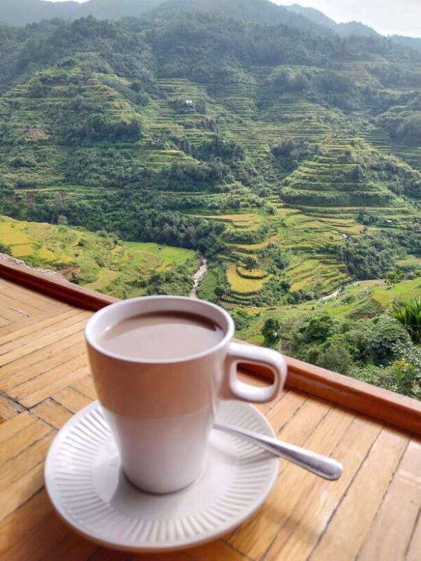 From Manila: Batad Rice Terraces and Tappiya Falls Tour 3D2N - Key Points