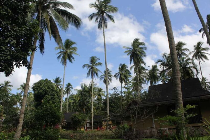 From Manila: Day Tour to Enchanting Hidden Valley - From Manila: Day Tour to Enchanting Hidden Valley