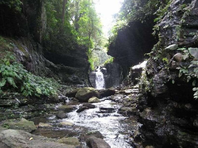 From Manila: Day Tour to Enchanting Hidden Valley - Exploring the Hidden Valley Tour in Depth