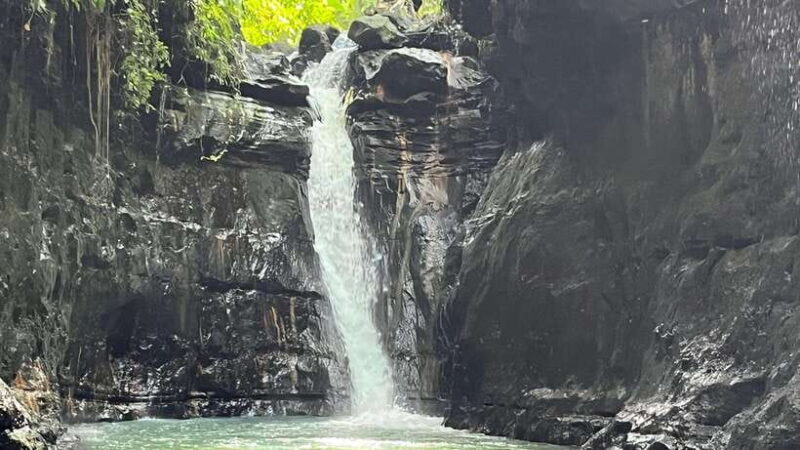 From Manila: Pagsangjan Falls and Hidden Valley Day Trip - Why This Tour Is a Great Value