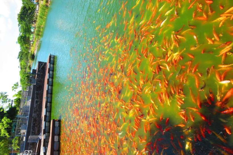 From Manila: Tagaytay Countryside Wonders: A Half-Day Tour - FAQ