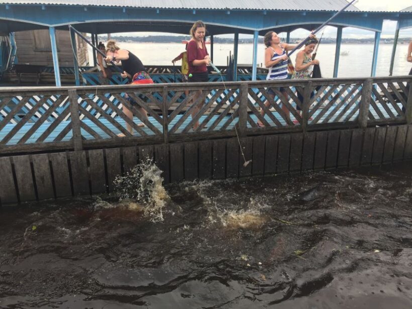 From Manuas: Full-Day River Tour - A Detailed Look at the Itinerary