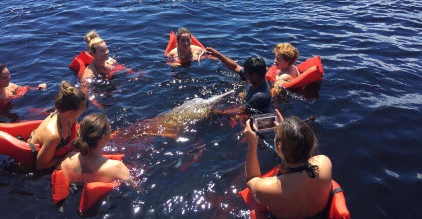 From Manuas: Full-Day River Tour - Transportation and Group Size