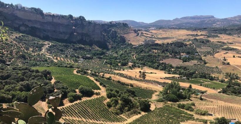 From Marbella: Classic Ronda Tour, 2 winery visits & lunch - Who Should Consider This Tour?