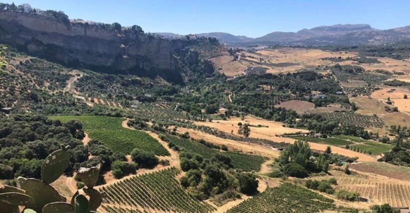 From Marbella: Classic Ronda Tour, 2 winery visits & lunch - Final Thoughts