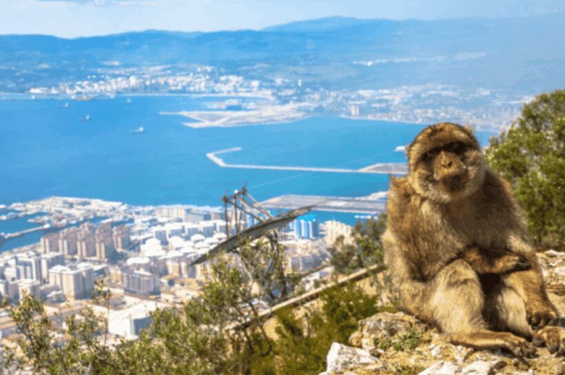 From Marbella: Gibraltar Private Day Trip with Local Guide - An In-Depth Look at What to Expect