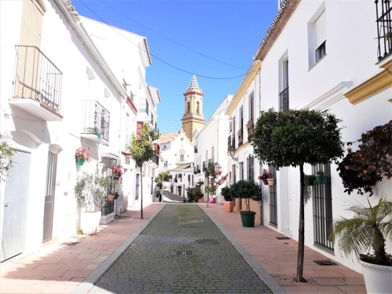 From Marbella: Guided Private Trip to Gibraltar and Estepona - Comfort, Convenience, and Cost